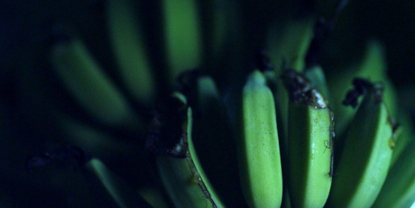 Incredible, invisible effects - fxguide