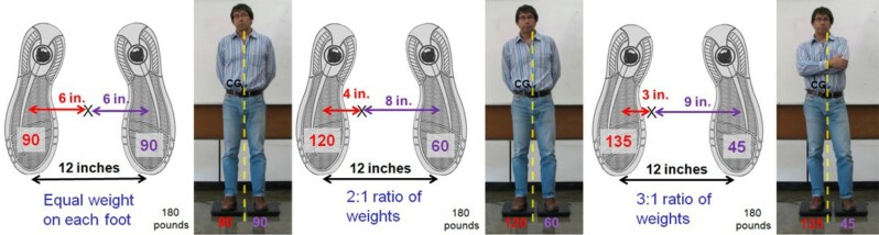 fxpodcast: SIGGRAPH 2012 - Animation Physics - fxguide