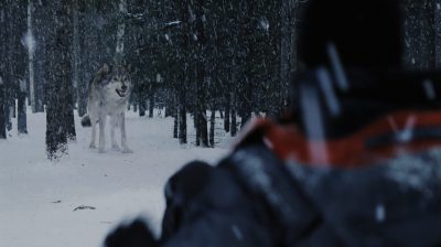 Less is more: The Bourne Legacy - fxguide