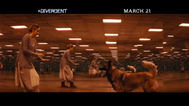 Divergent Aptitude Test