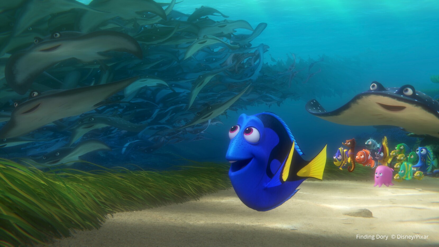 The tech of PIXAR part 2: Finding Dory - making waves - fxguide