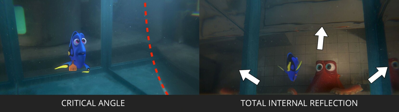 The tech of PIXAR part 2: Finding Dory - making waves - fxguide