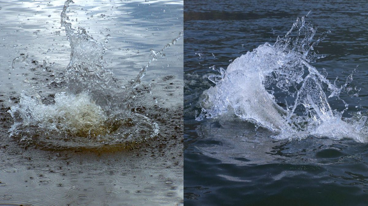 The tech of PIXAR part 2: Finding Dory - making waves - fxguide