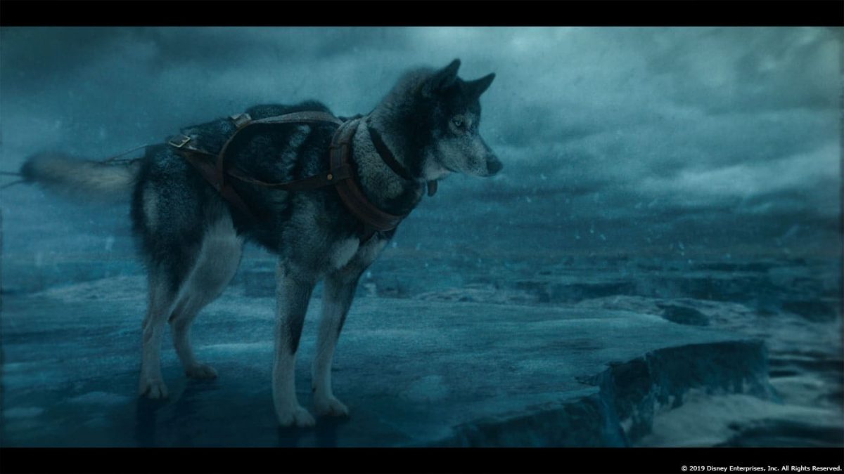 Togo: Dogs and Digital Autochrome - fxguide