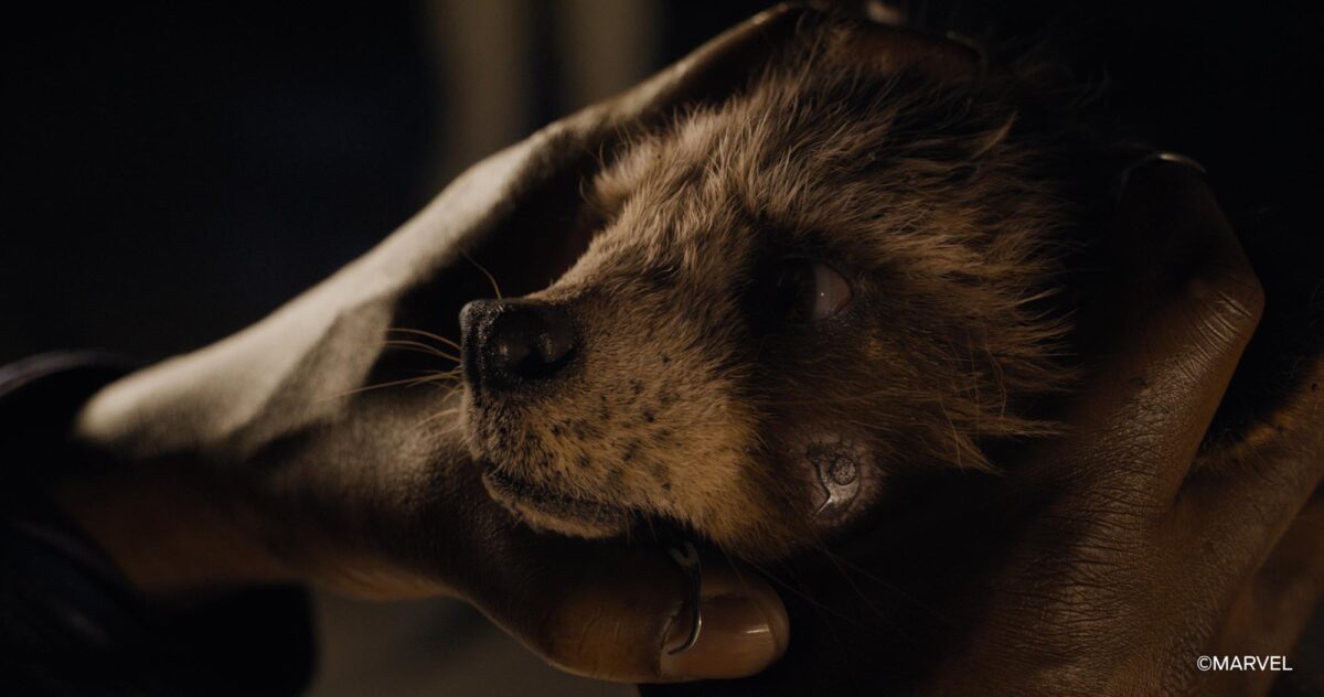 Guardians Vol3: How they delivered those brilliant CG character ...
